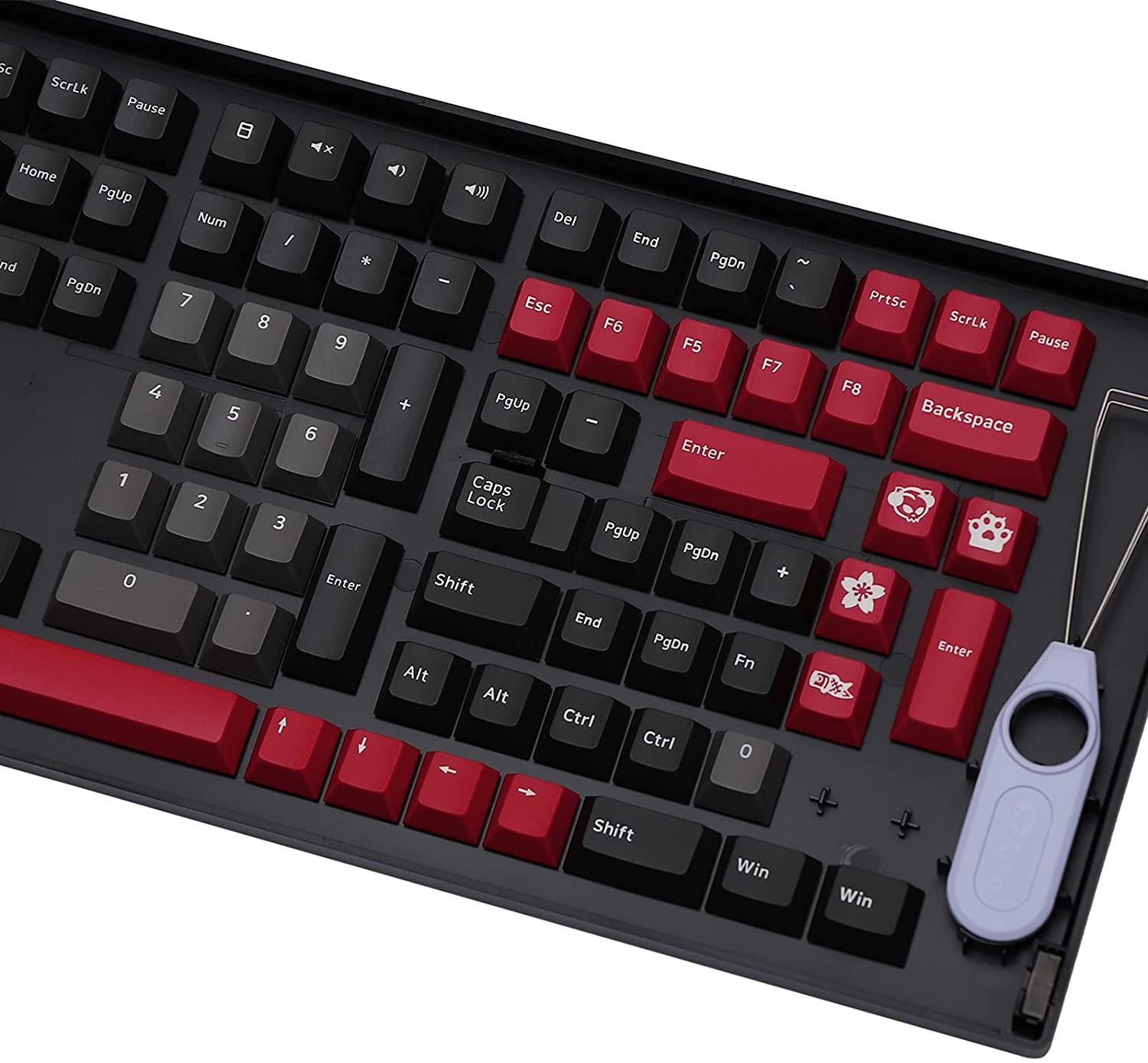 AKKO Keycap - Cherry Profile - Psittacus