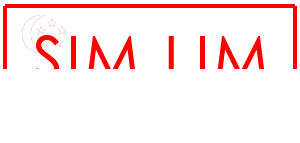 Sim Lim Square